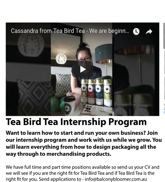 Tea Bird Tea Internship Program | Tea Bird Tea