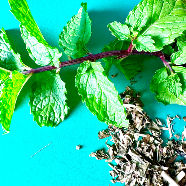 Organic Cool Mint Refill 18 Teabags | Tea Bird Tea